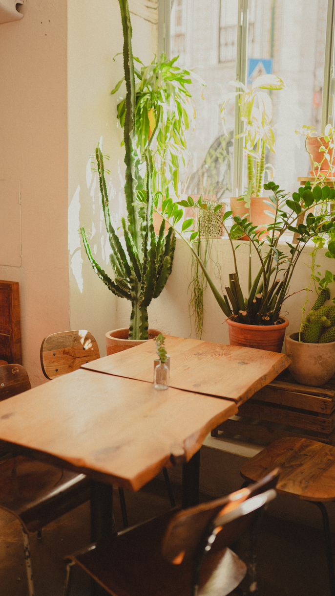 The best breakfast places in Lisbon